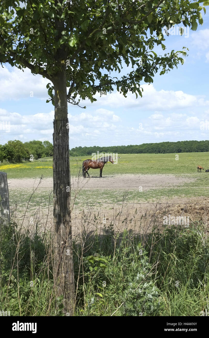 Uckermark germany hi-res stock photography and images - Alamy