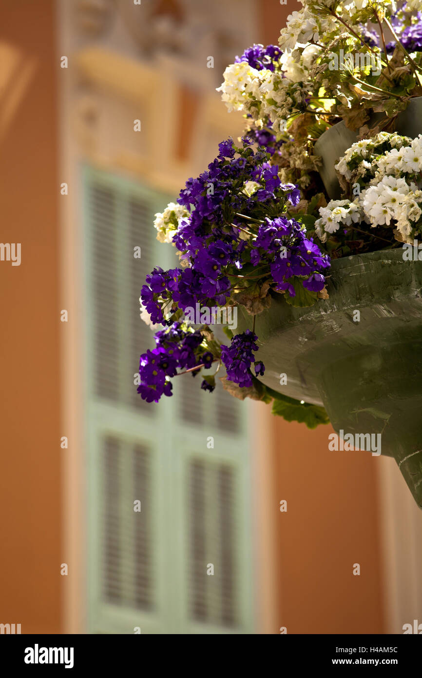 Monaco, flower decoration in the town area of La Condamine Stock Photo ...