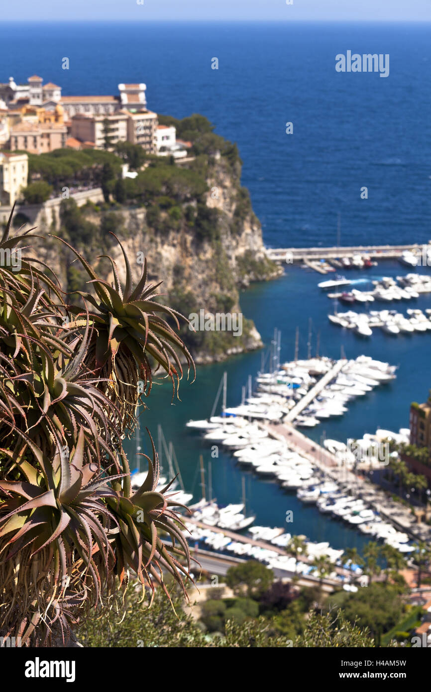 Le rocher monaco above hi-res stock photography and images - Alamy