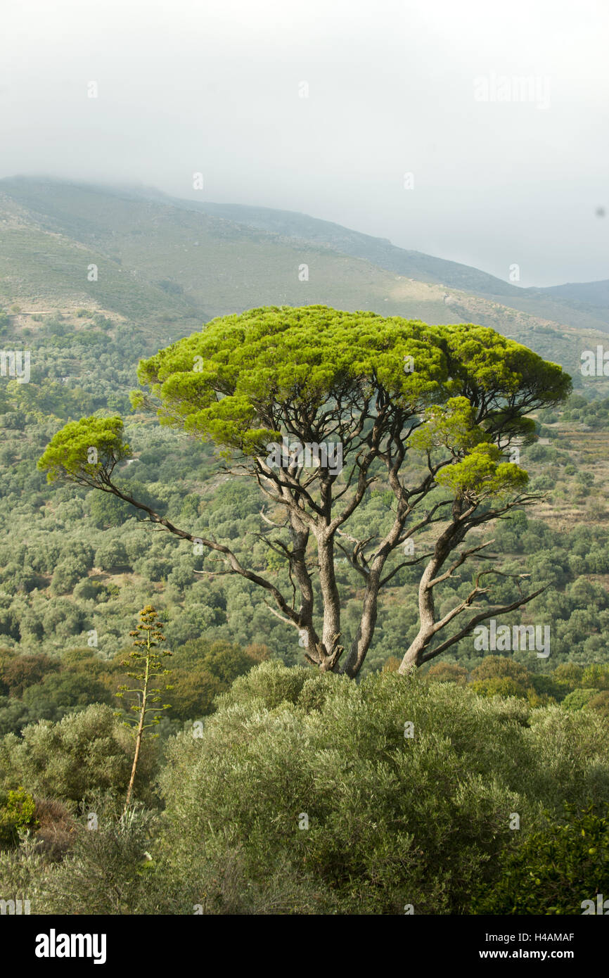 Elos crete hi-res stock photography and images - Alamy