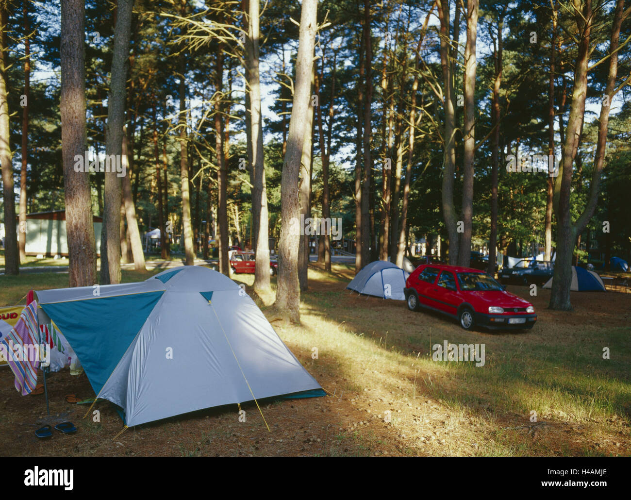 Camping site, trees, cars, tents, vacation, travel, tourism, camping ...