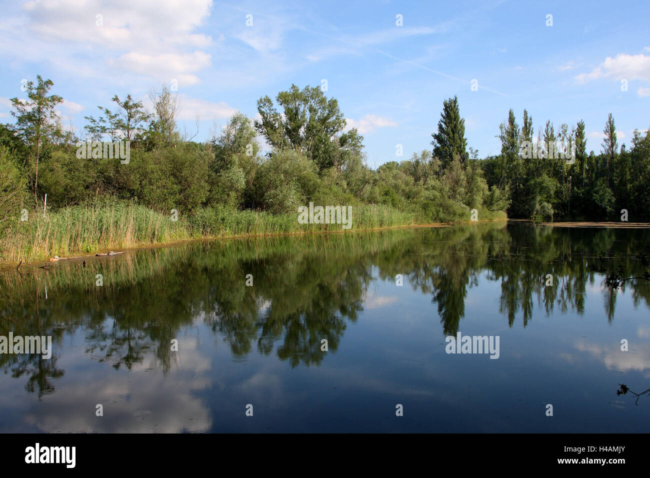 Water backwater hi-res stock photography and images - Alamy