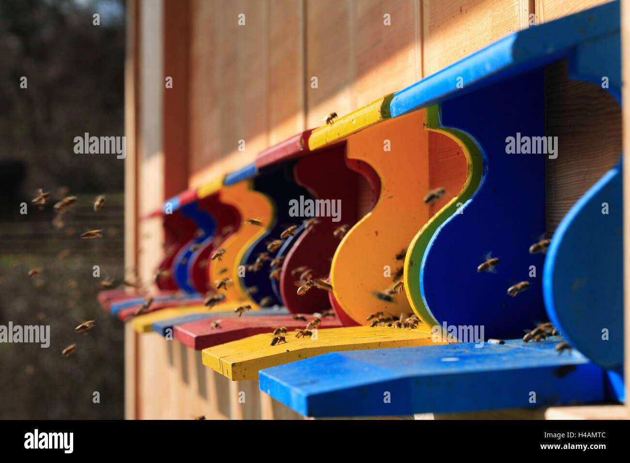 Beekeeping hut hi-res stock photography and images - Alamy