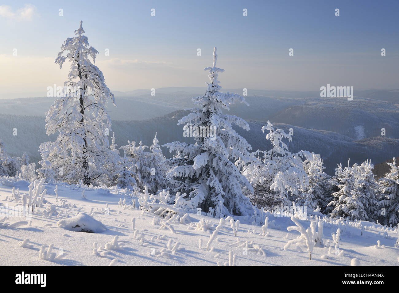 Großer inselsberg hi-res stock photography and images - Alamy
