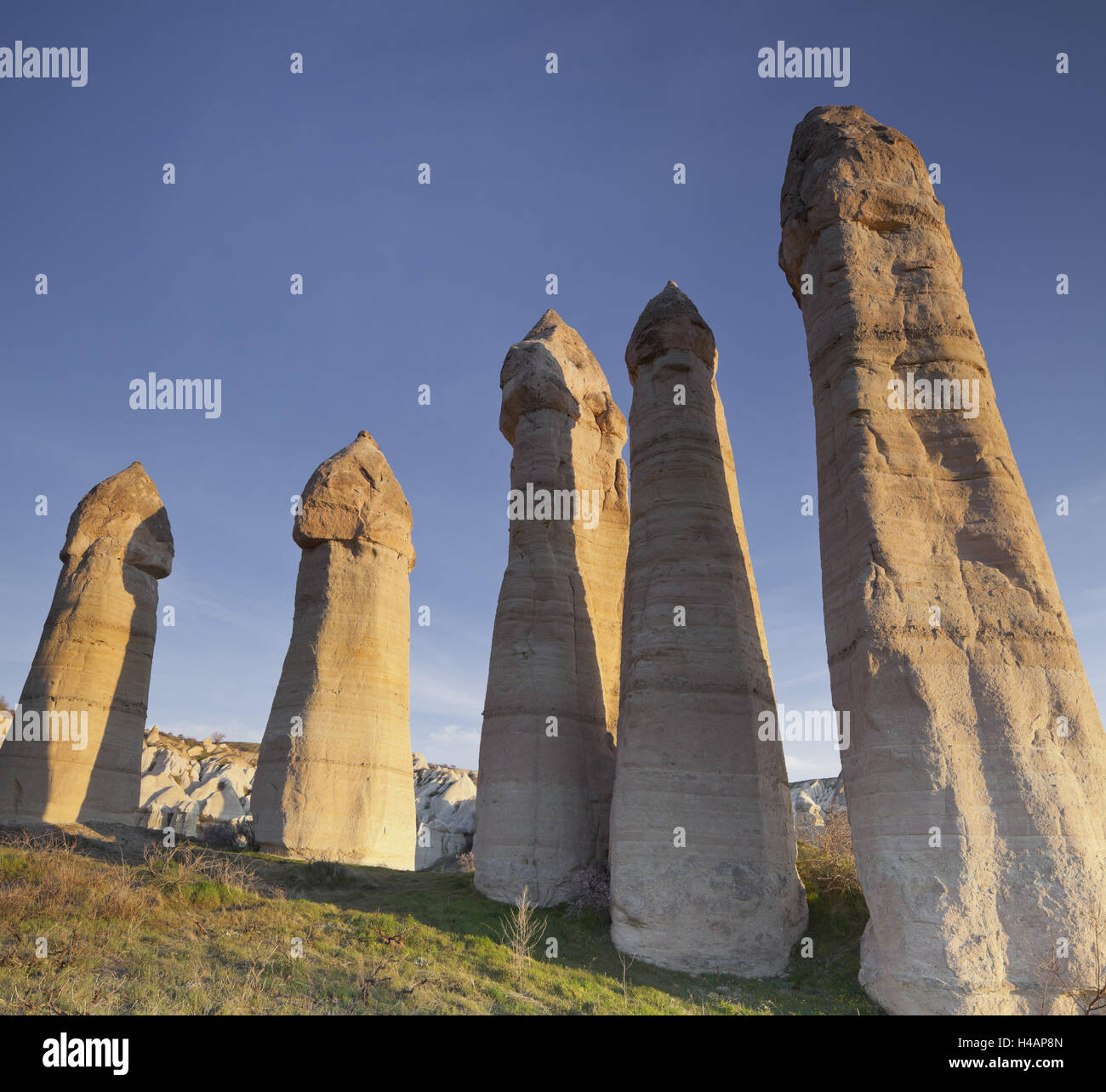 Fairy chimneys in love valley, tuff stone, Cappadocia, Anatolia, Turkey ...