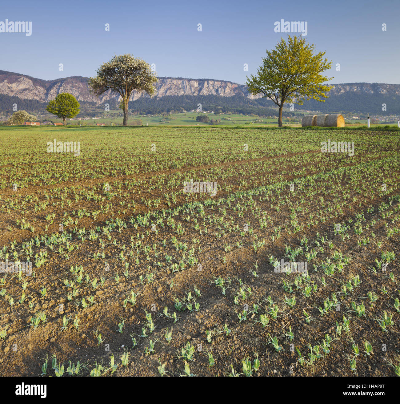 Austrian fields hi-res stock photography and images - Alamy