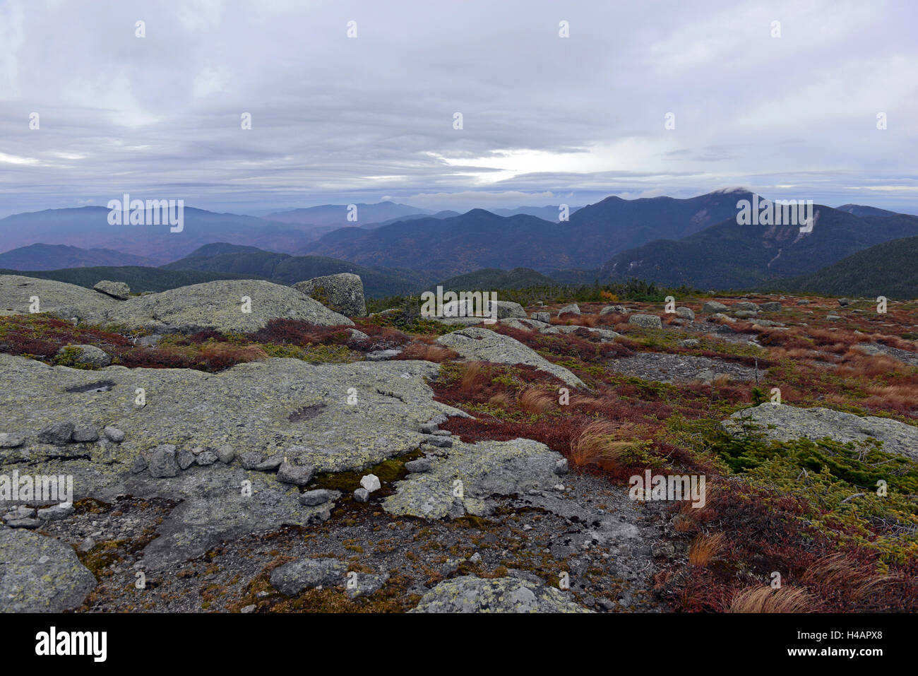 Subarctic climate hi-res stock photography and images - Alamy