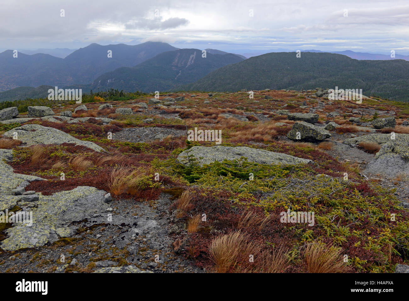 Alpine subarctic climate hi-res stock photography and images - Alamy