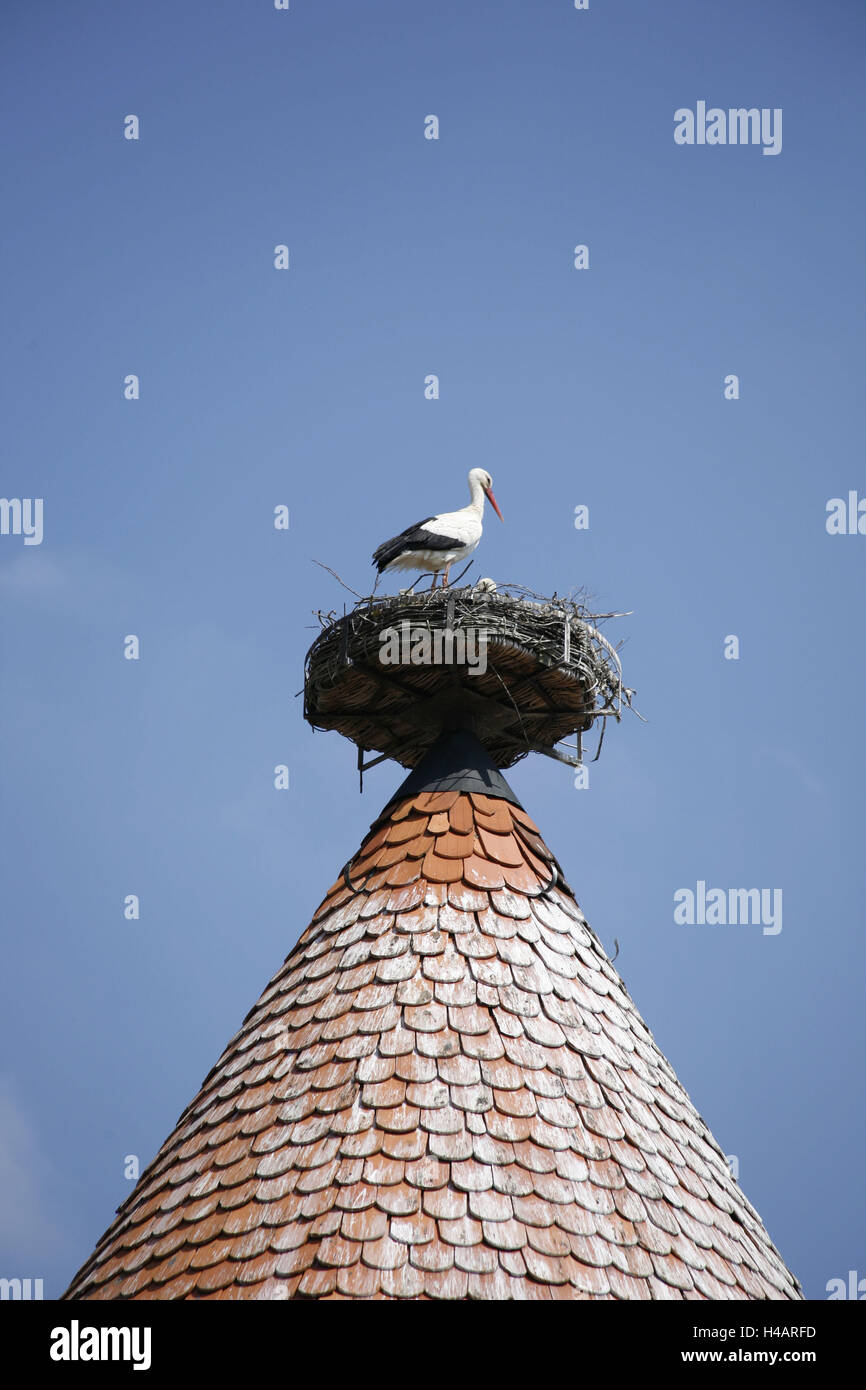 Germany, Bavaria, Upper Franconia, Hohenberg, tower, top, stork's nest ...
