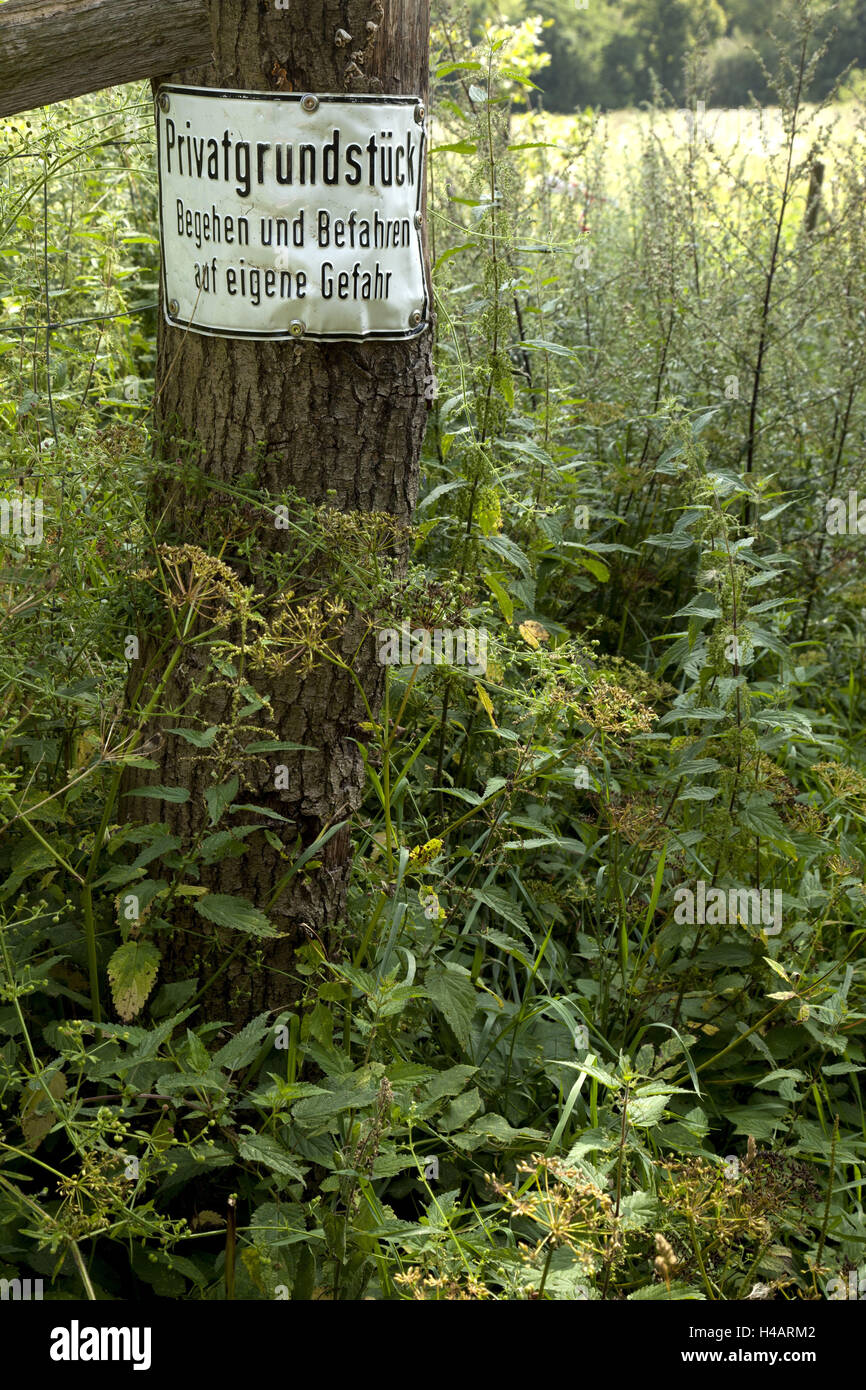 Nature, tree, green, sign Stock Photo - Alamy