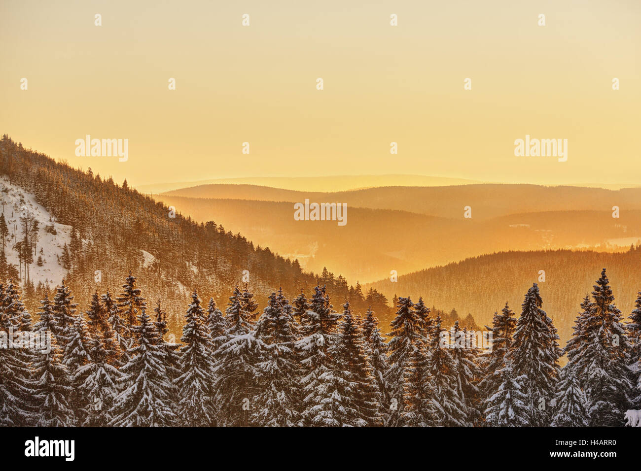 Germany, Thuringia, Gehlberg, Schmücke, mountain silhouettes, spruces ...