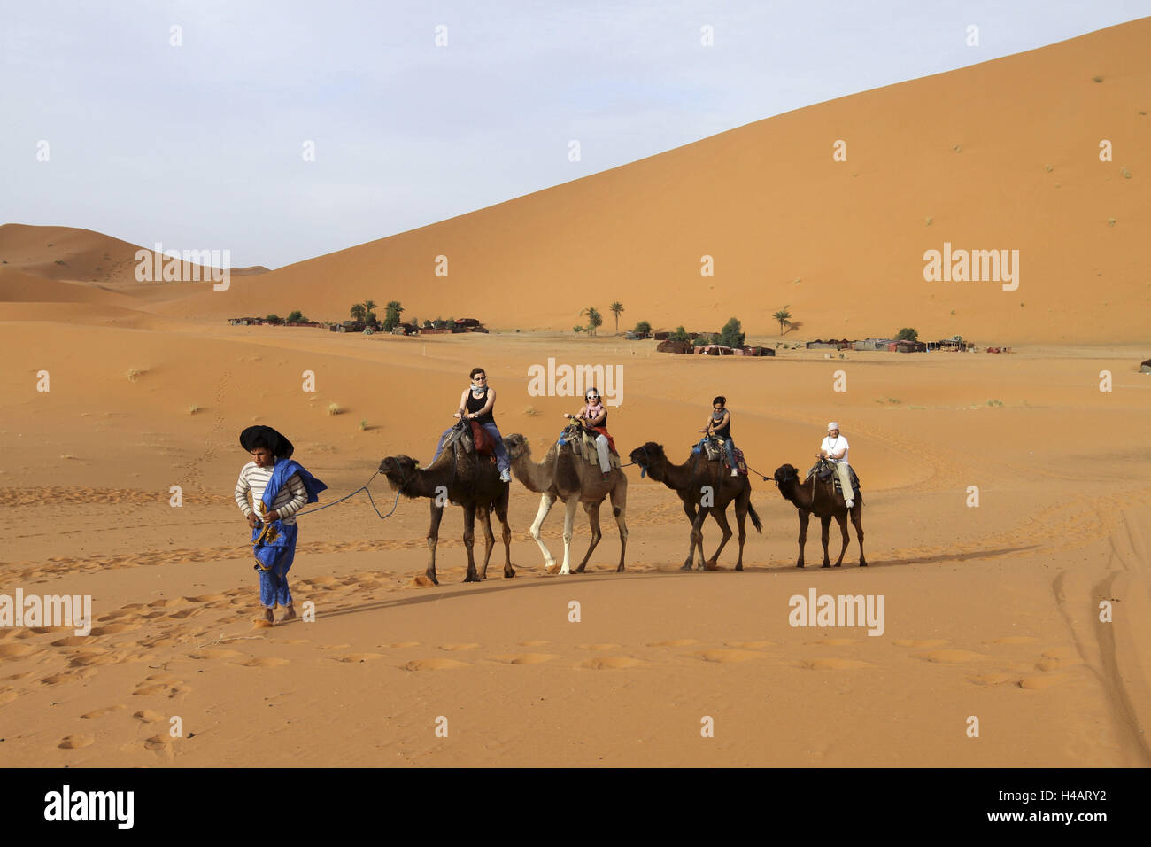Tuareg caravan hi-res stock photography and images - Alamy