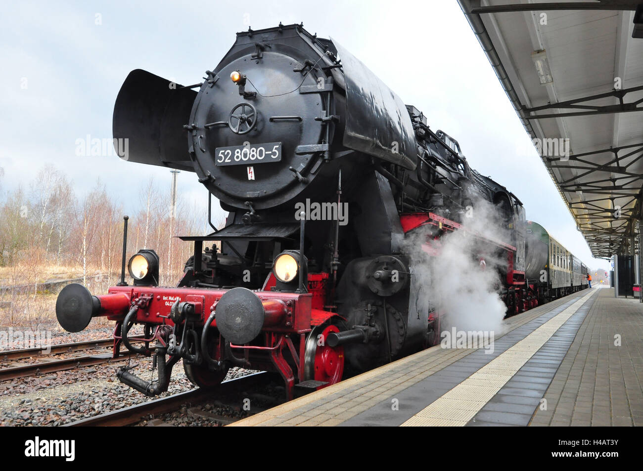 Germany, Saxony, Dresden, steam engine meeting, vapour train journey ...