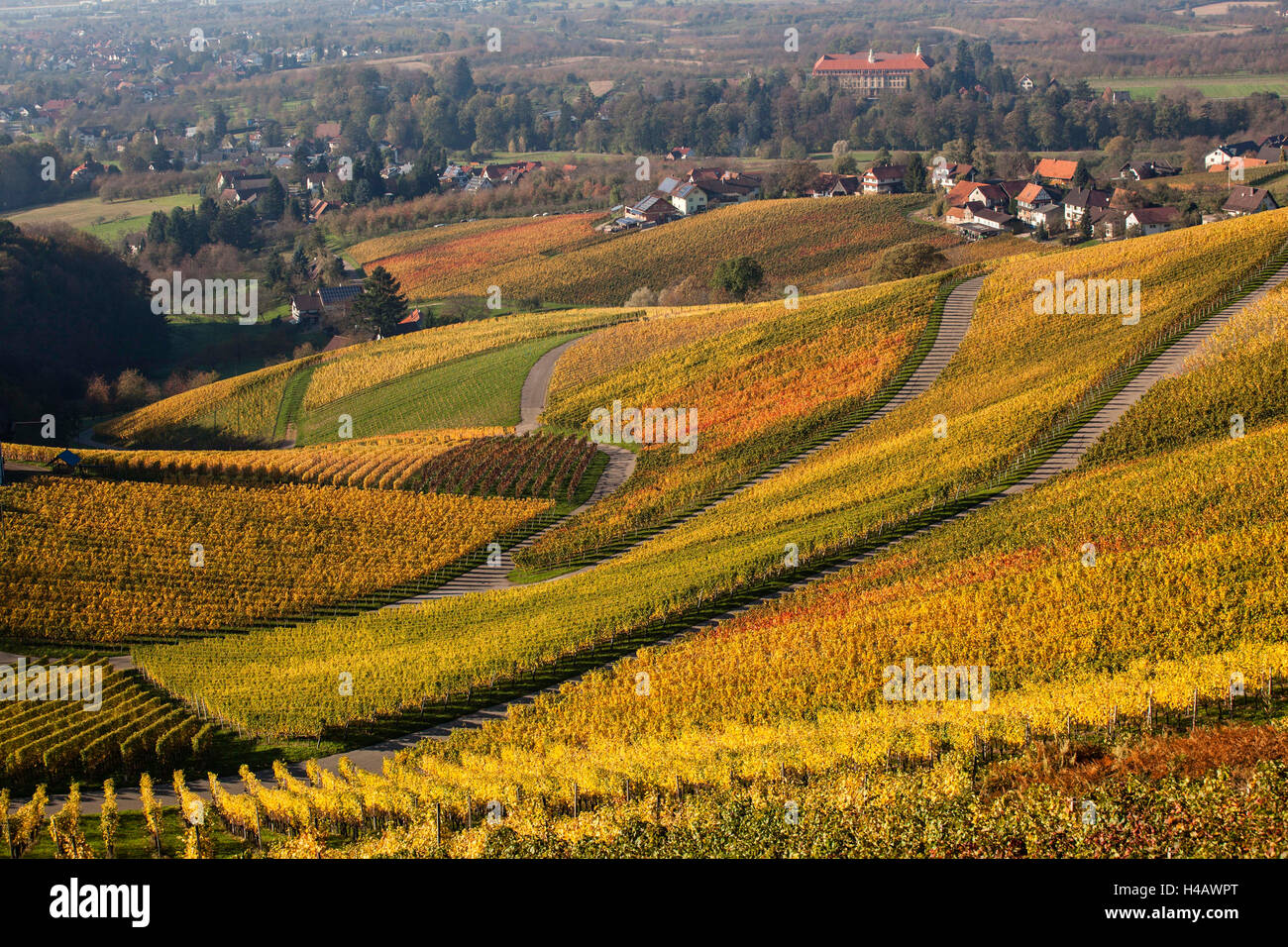 Sasbach hi-res stock photography and images - Alamy