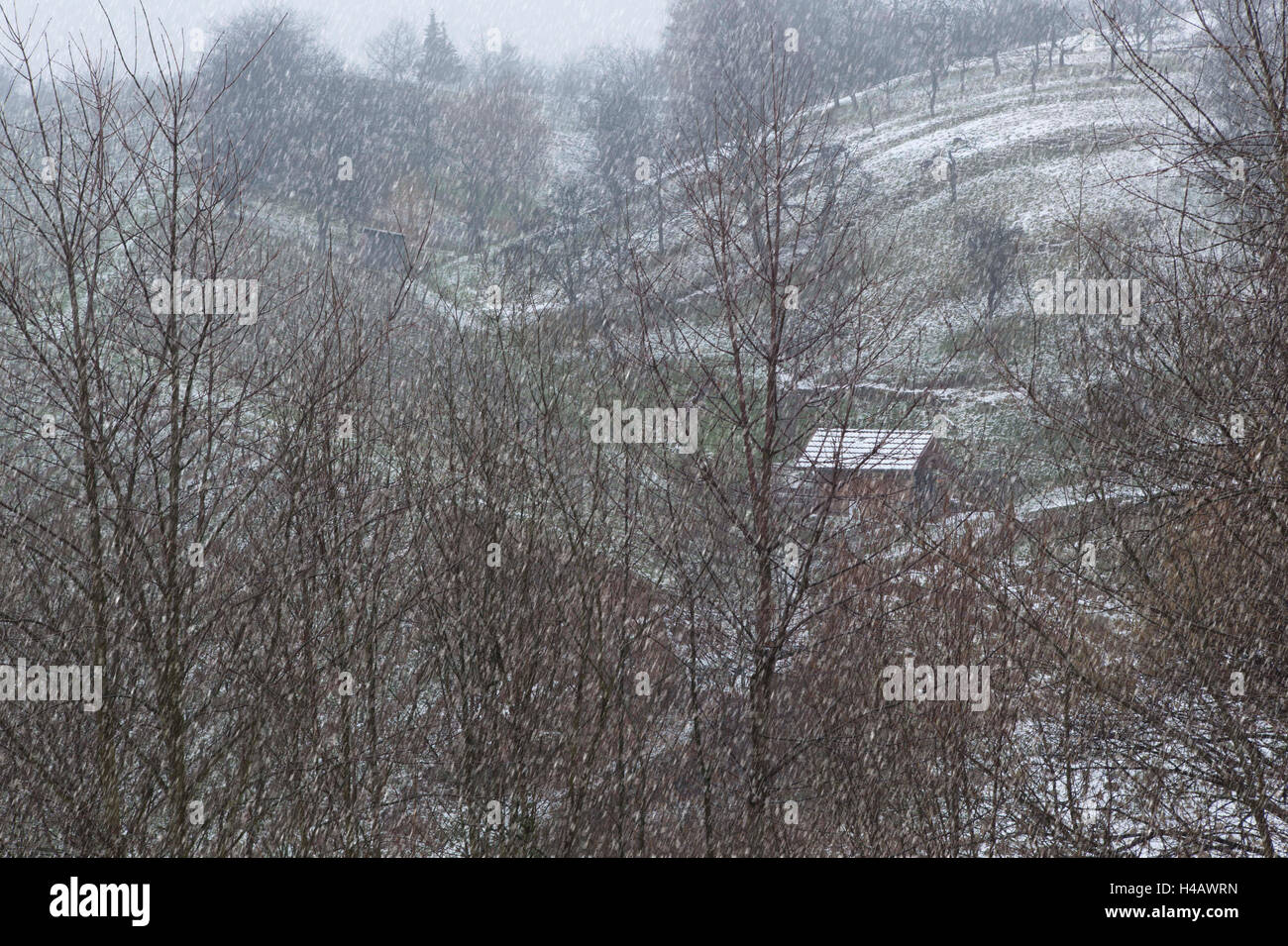 The first snow Stock Photo - Alamy