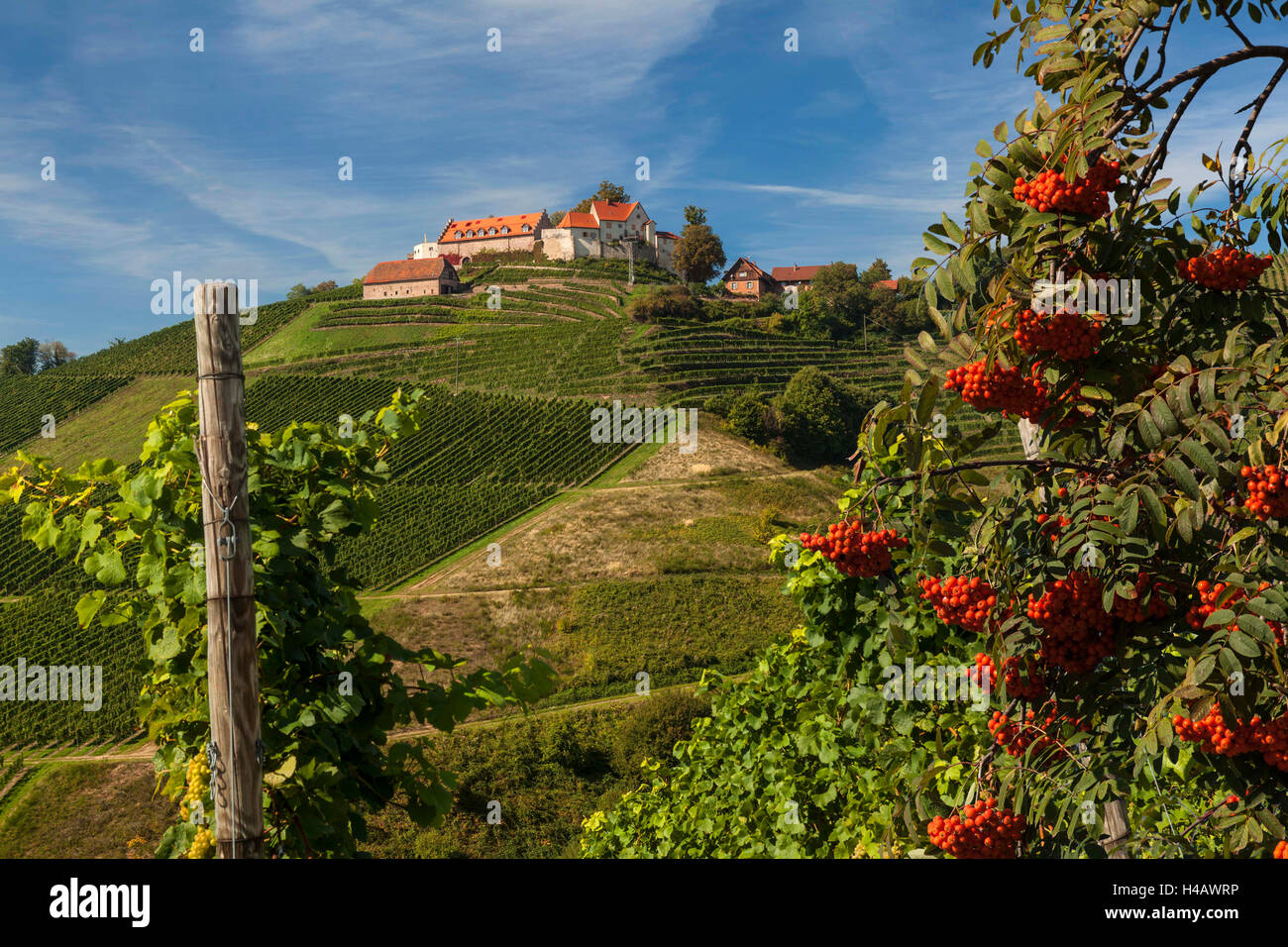 Durbach hi-res stock photography and images - Alamy