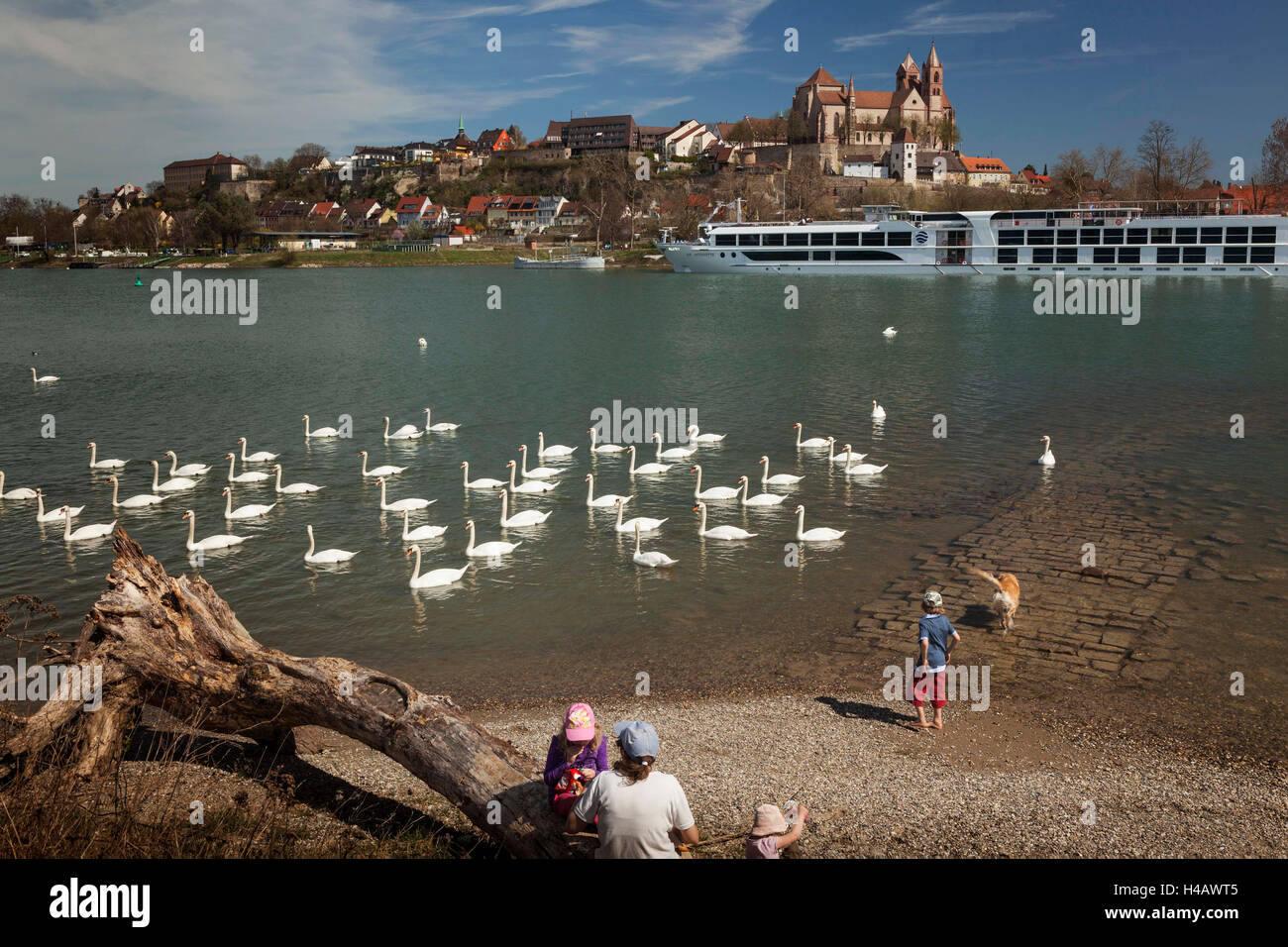 Germany, Baden-Württemberg, Breisgau, High Black Forest, Breisach on ...