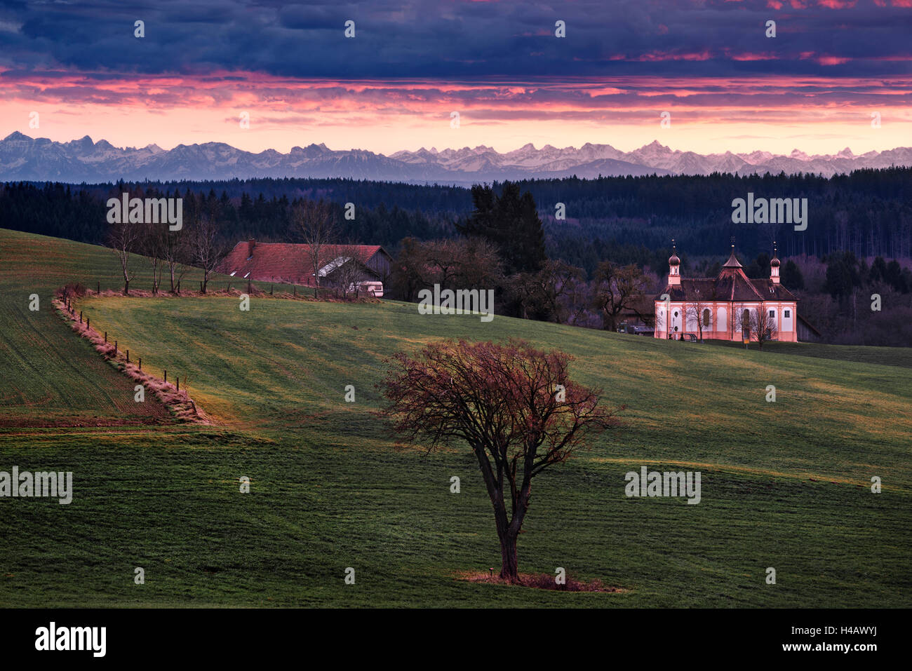 Germany, Bavaria, Augsburg county, Augsburg Western Woods Nature Park ...