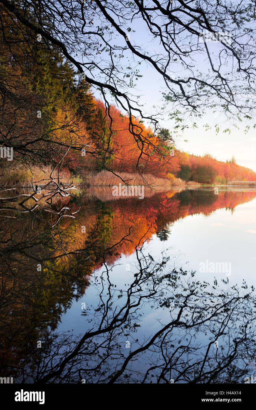 Germany, Bavaria, Augsburg Western Woods Nature Park, Burgwalden, pond ...