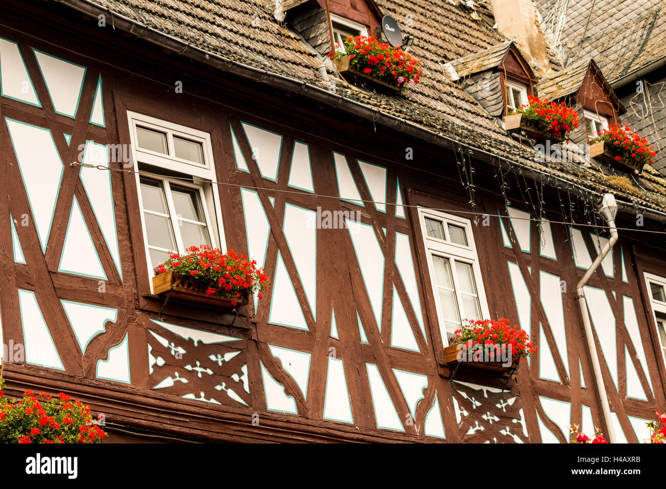 Traditional half timber framed house with colourful window boxes ...
