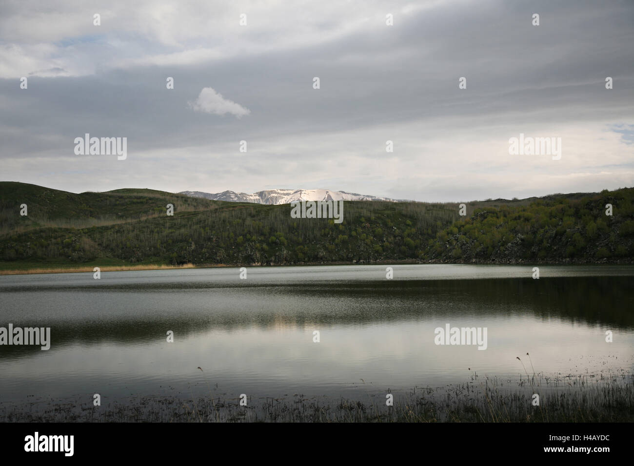 Ilic turkey hi-res stock photography and images - Alamy