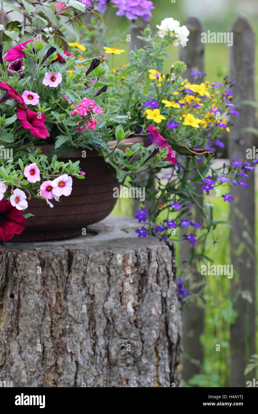 Log, flowerpot, flowers, colorful Stock Photo - Alamy