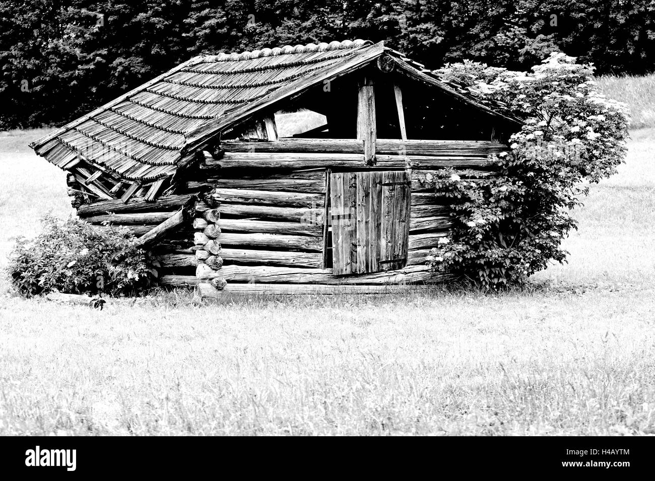 Hay barn hi-res stock photography and images - Alamy