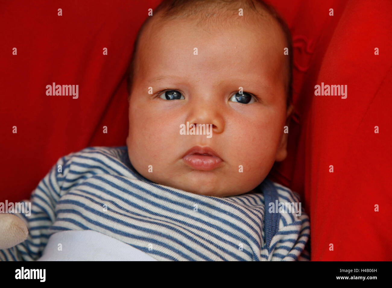 Baby, male, portrait Stock Photo - Alamy