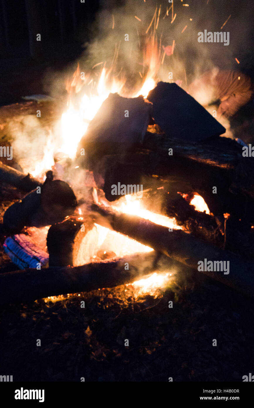 Campfire in the forest Stock Photo - Alamy