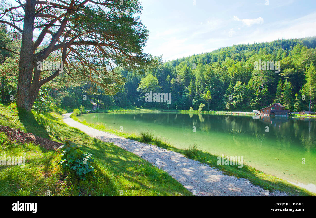Footpath at the Lautersee Stock Photo - Alamy