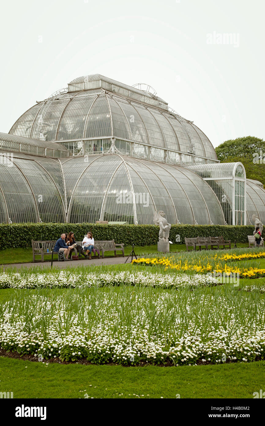 Palm house, architecture, greenhouse, garden Stock Photo - Alamy