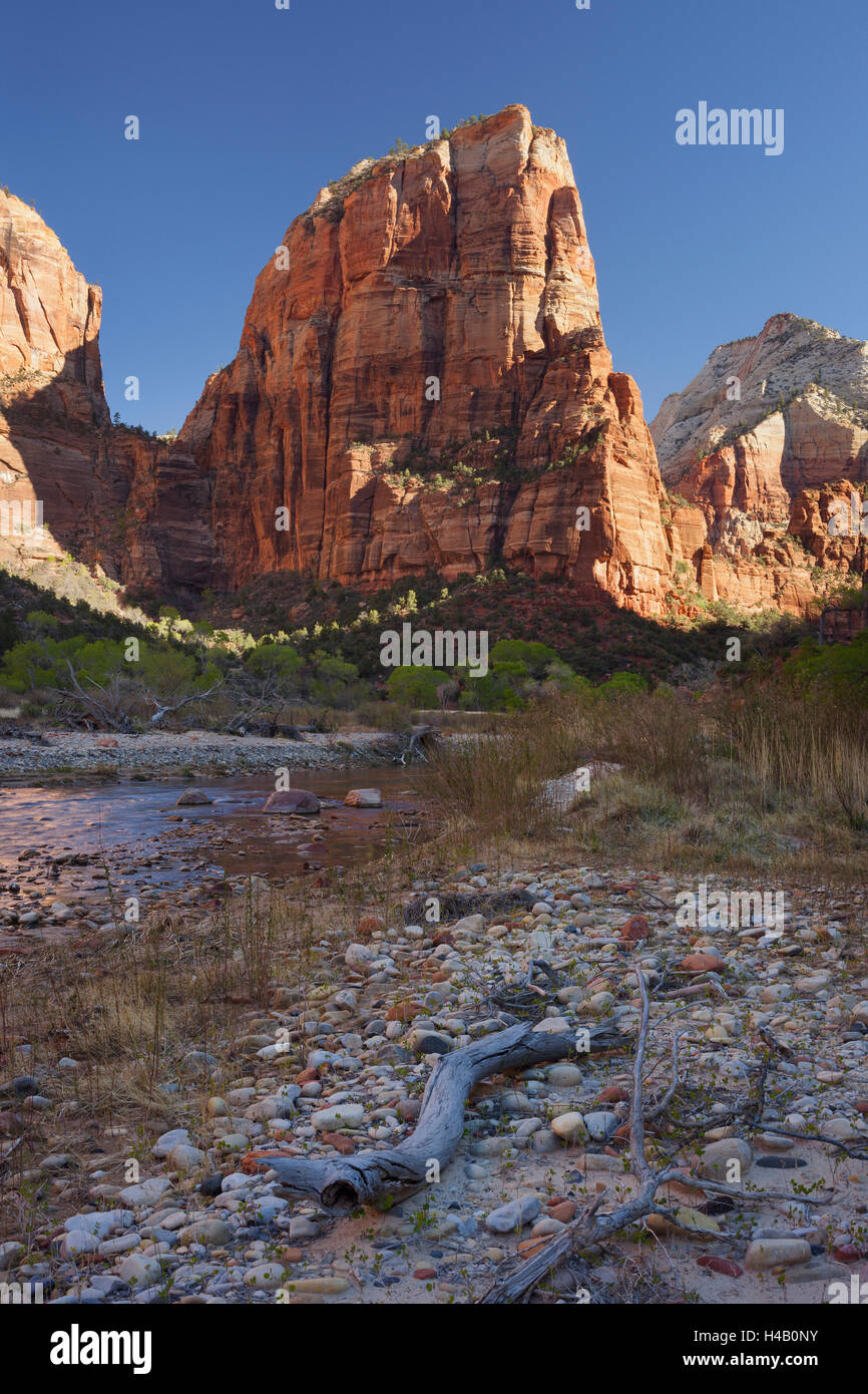 Angels Landing, Zion National Park, Utah, USA Stock Photo - Alamy