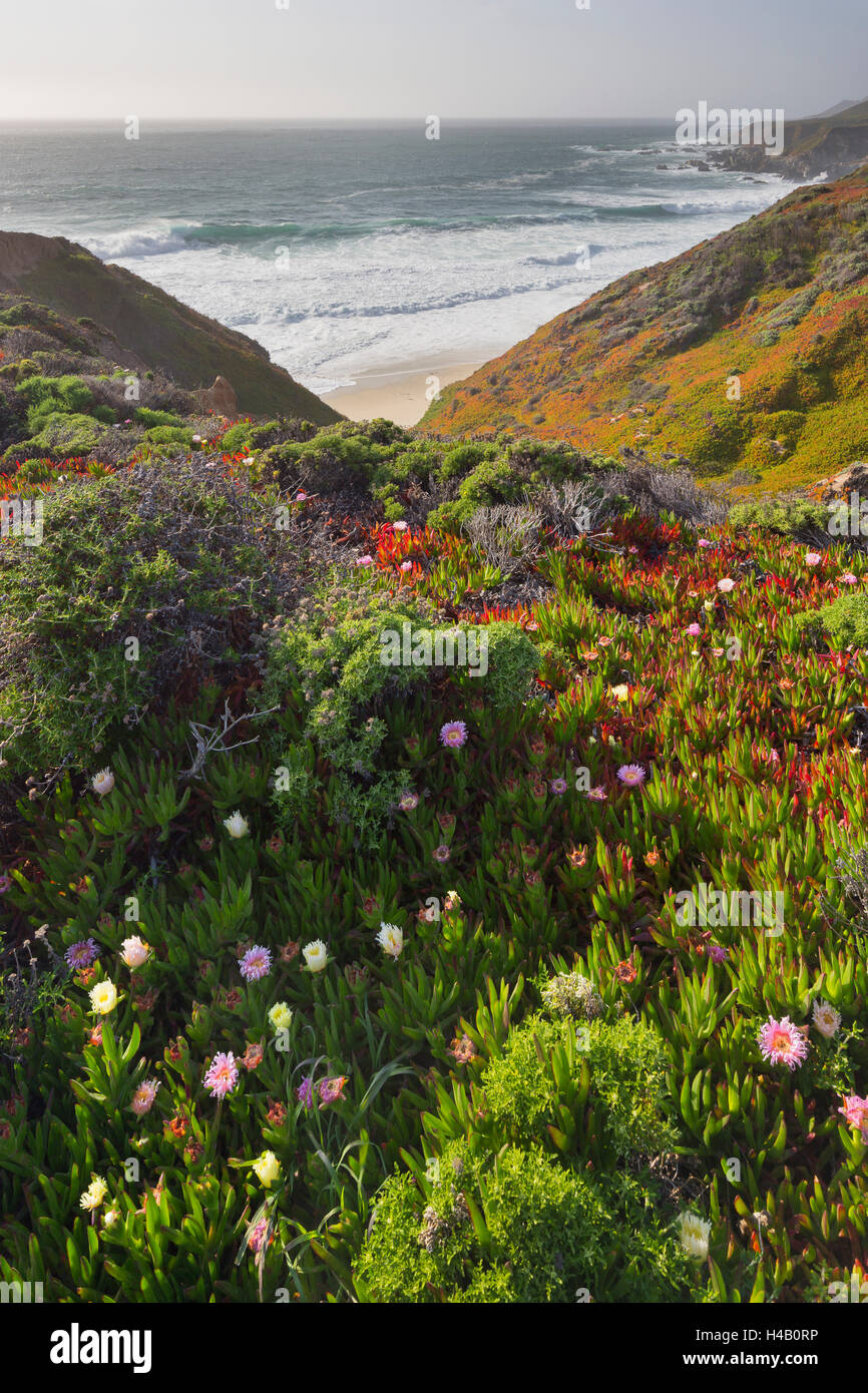 Big Sur, Cabrillo highway 1, California, USA Stock Photo - Alamy