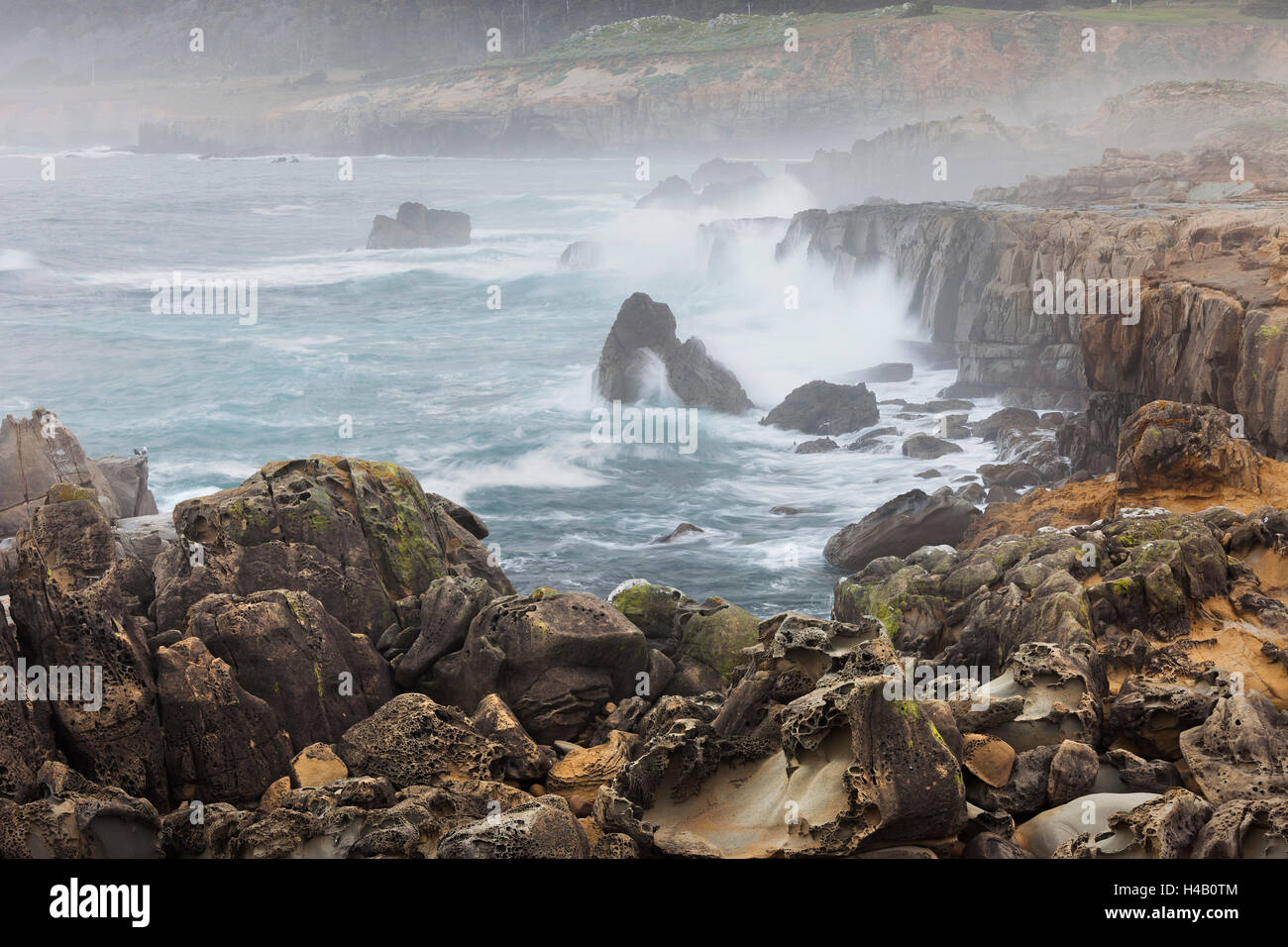 Salt point park hi-res stock photography and images - Alamy