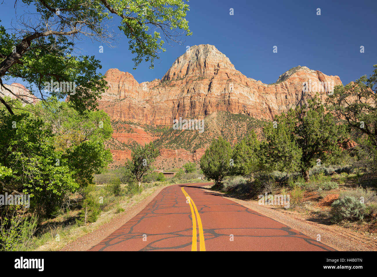 Bridge Mountain, Zion National Park, Utah, USA Stock Photo - Alamy