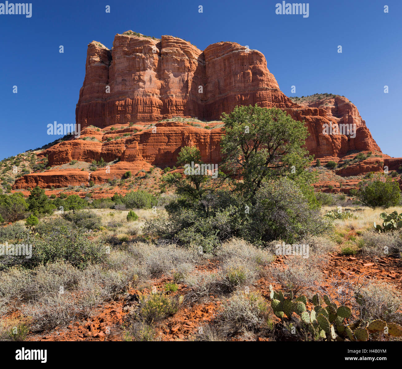 Courthouse Butte, Bell Rock Trail, Sedona, Arizona, USA Stock Photo - Alamy