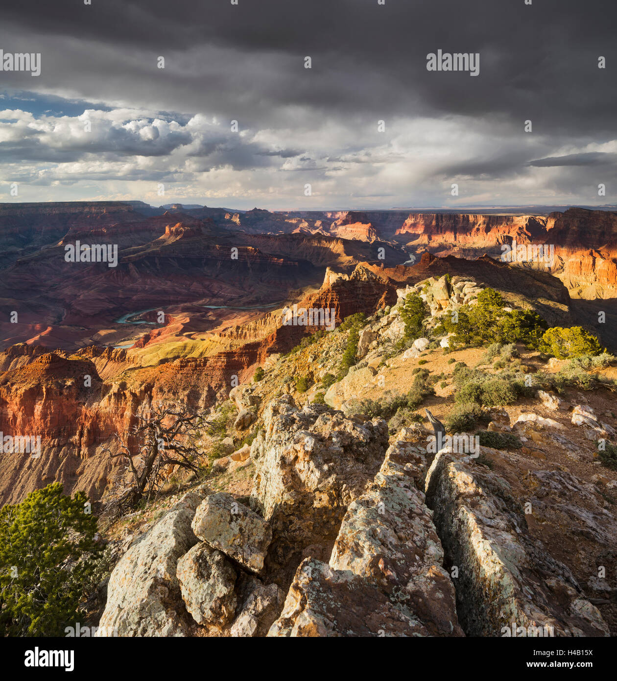 Lipan Point, South Rim, Grand Canyon National Park, Arizona, USA Stock ...