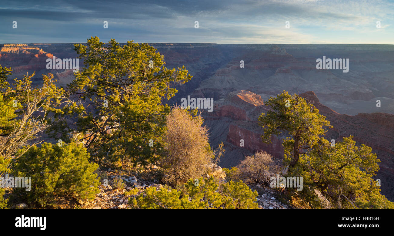Mather Point, South Rim, Grand Canyon National Park, Arizona, USA Stock ...