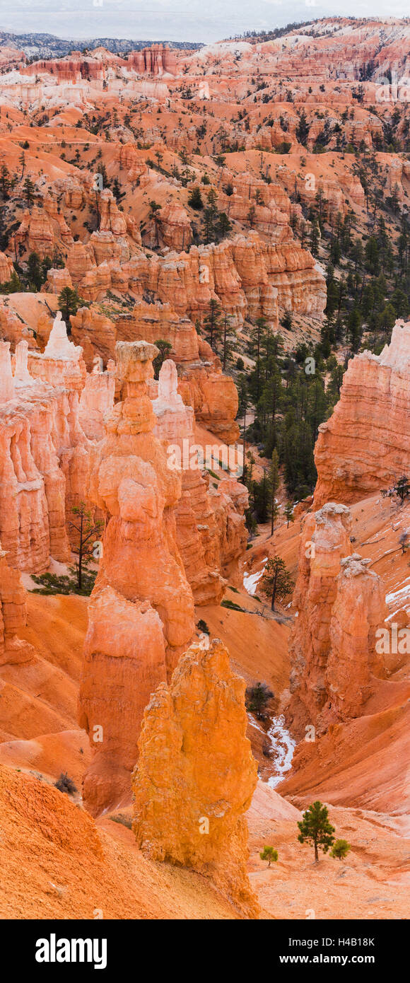 Sunrise Point, Bryce Canyon National Park, Utah, USA Stock Photo - Alamy