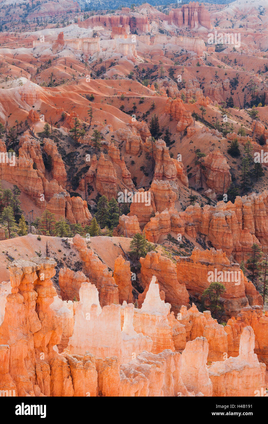 Sunset Point, Bryce Canyon National Park, Utah, USA Stock Photo - Alamy