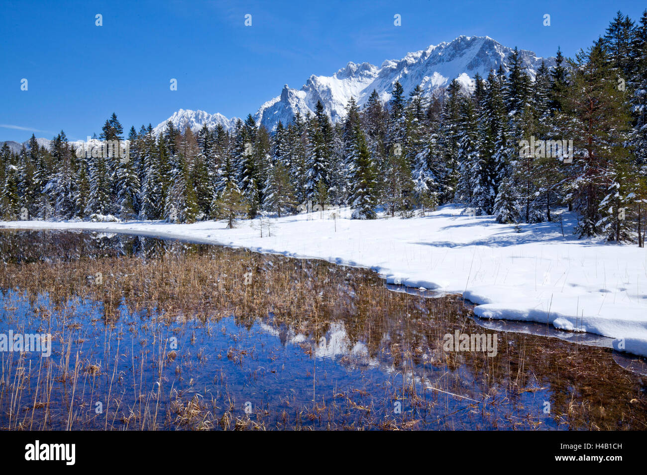 Landscape at the Lautersee lake in winter Stock Photo - Alamy
