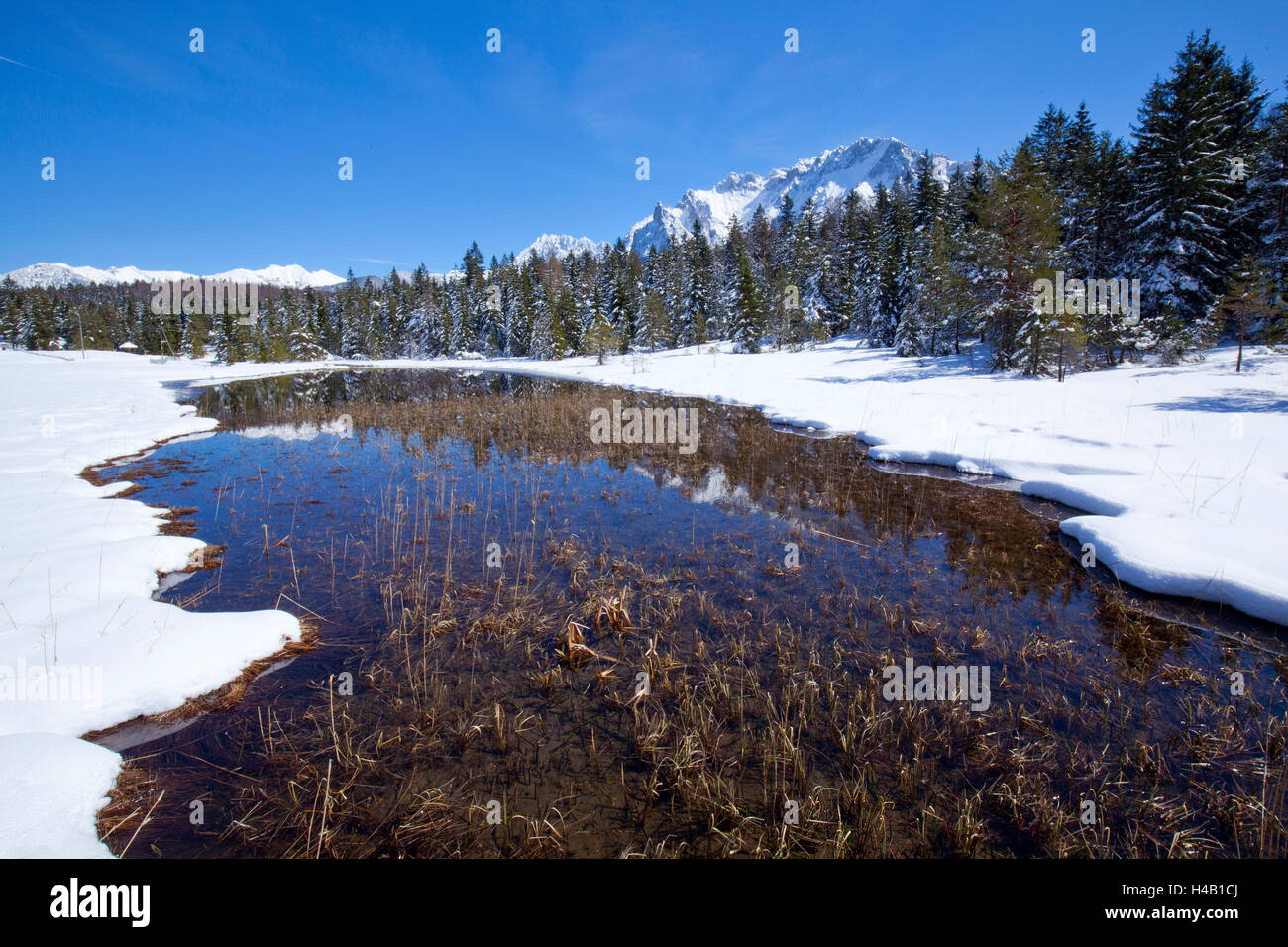 Landscape at the Lautersee lake in winter Stock Photo - Alamy