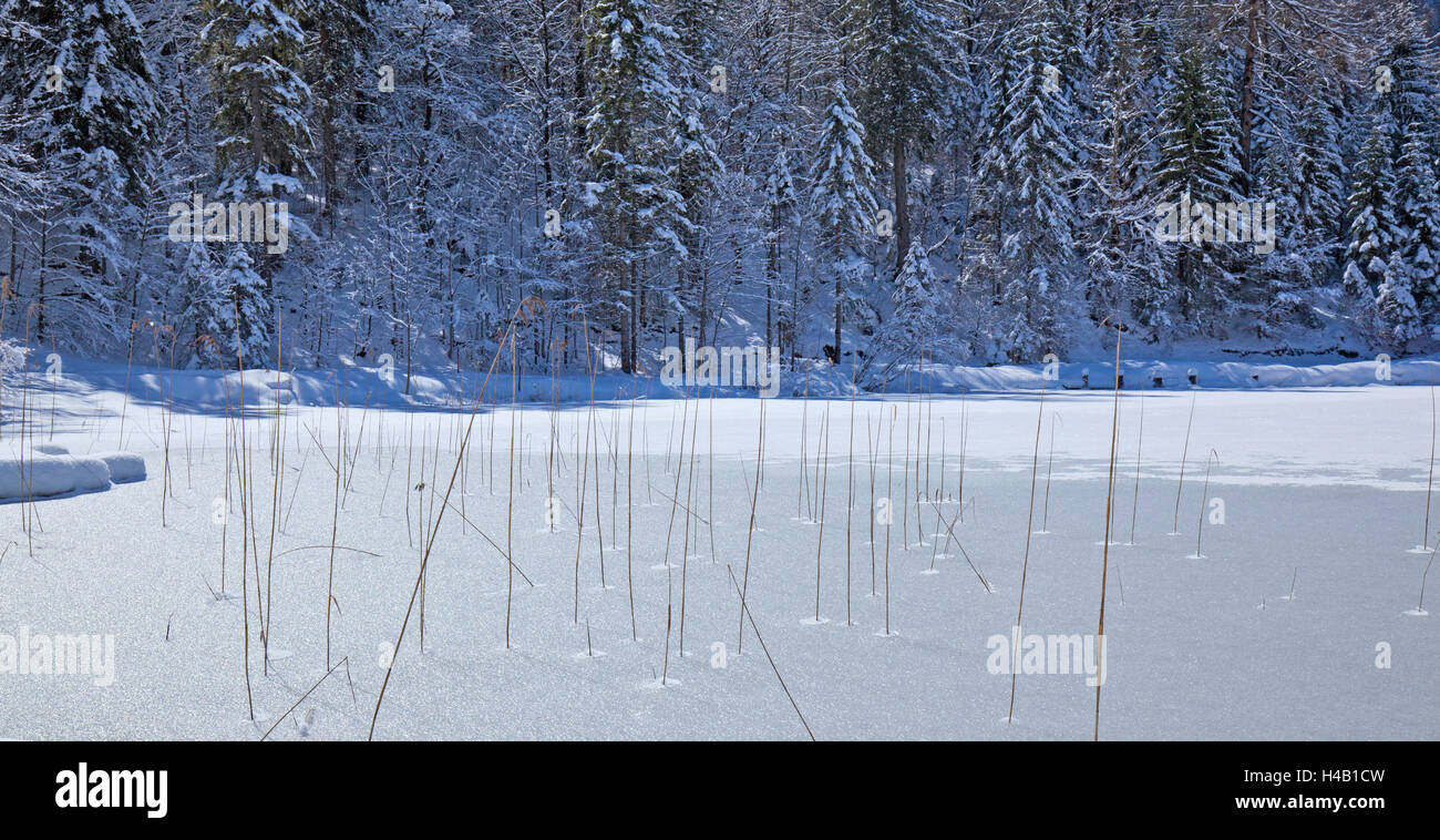 Landscape at the Lautersee lake in winter Stock Photo - Alamy