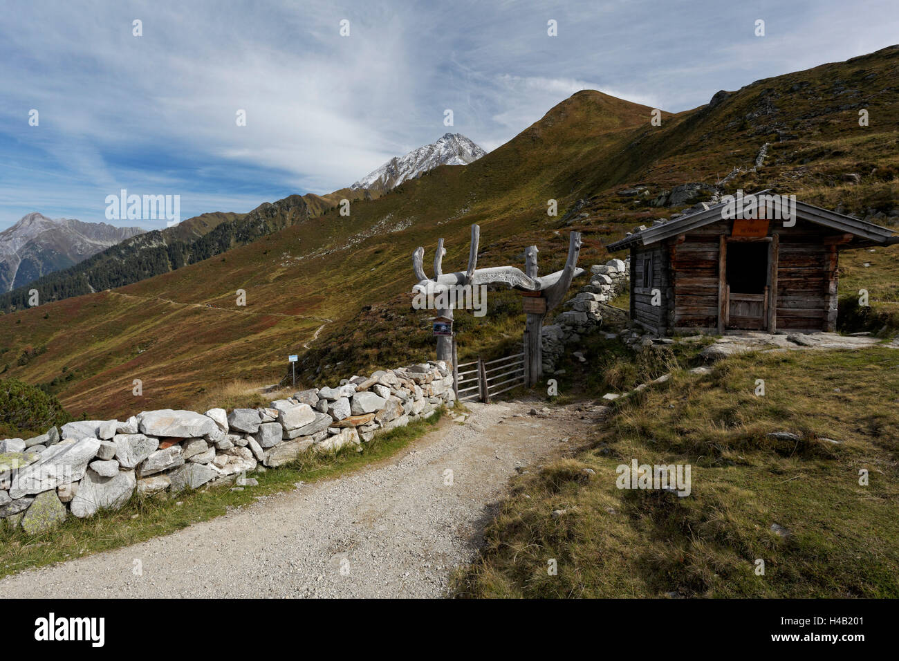 Alpine landscape on the Ahorn massif in the high mountain nature ...