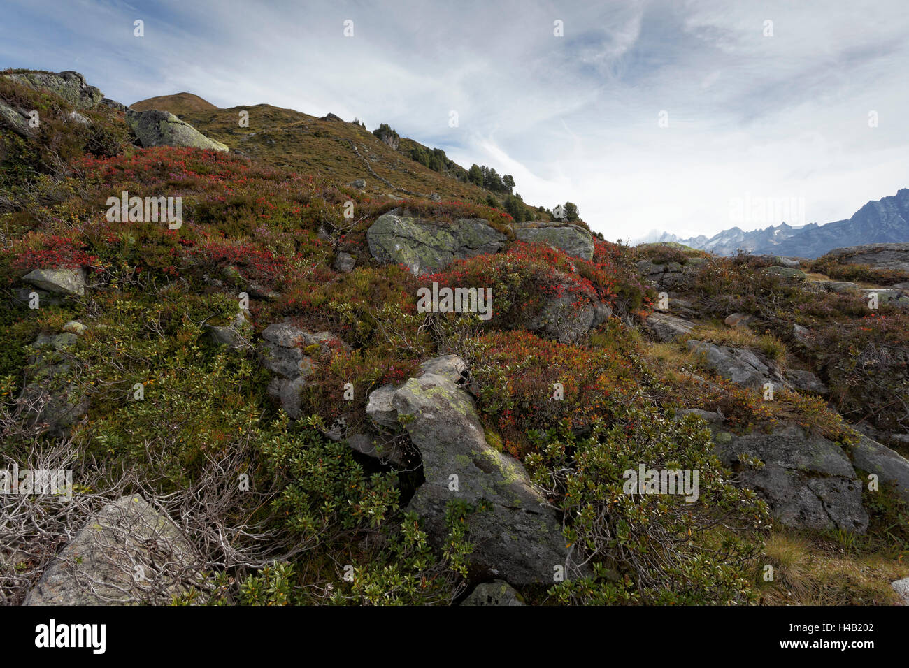 Alpine landscape on the Ahorn massif and Stillupgrund in the high ...