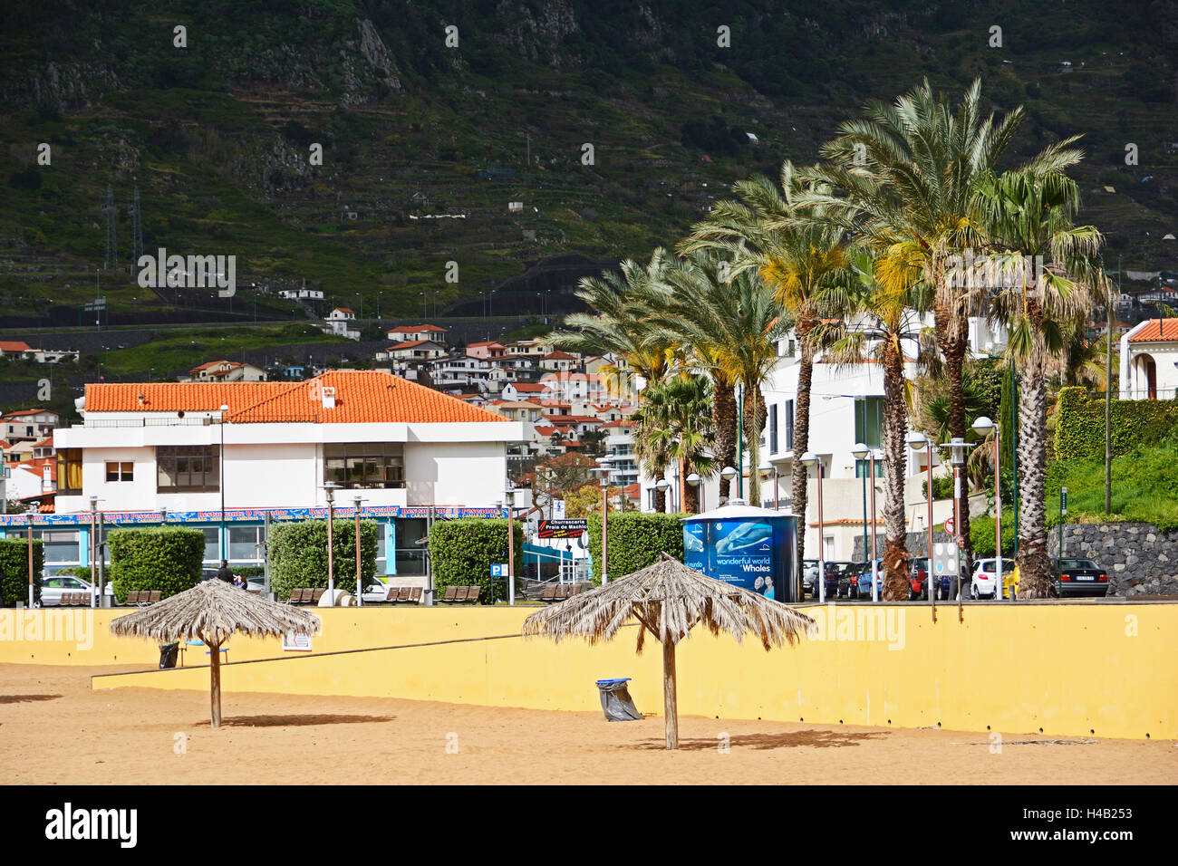 Madeira, beach of Machico Stock Photo - Alamy