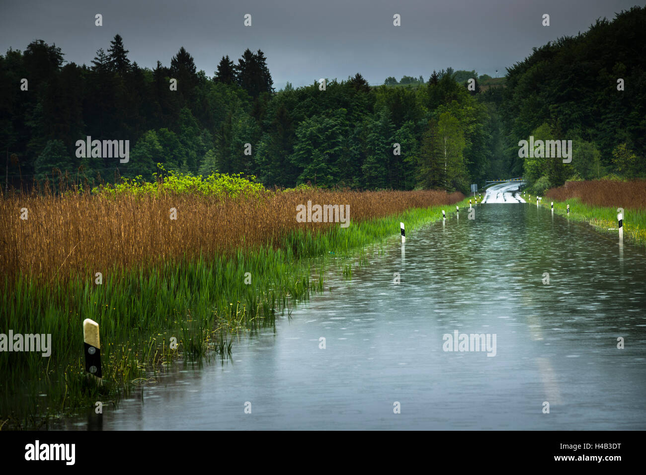 Germany, Bavaria, flooded country road Stock Photo - Alamy