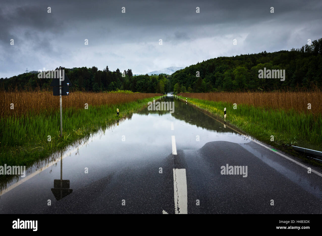 Germany, Bavaria, flooded country road Stock Photo - Alamy