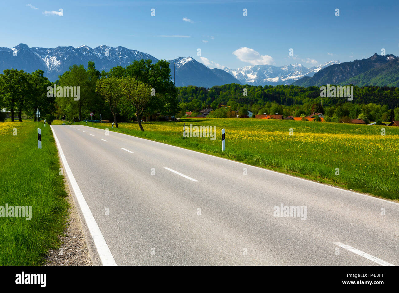 Germany, Bavaria, country road in spring Stock Photo - Alamy