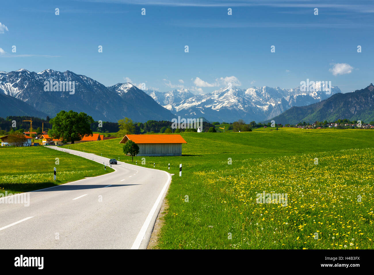 Germany, Bavaria, country road in spring Stock Photo - Alamy